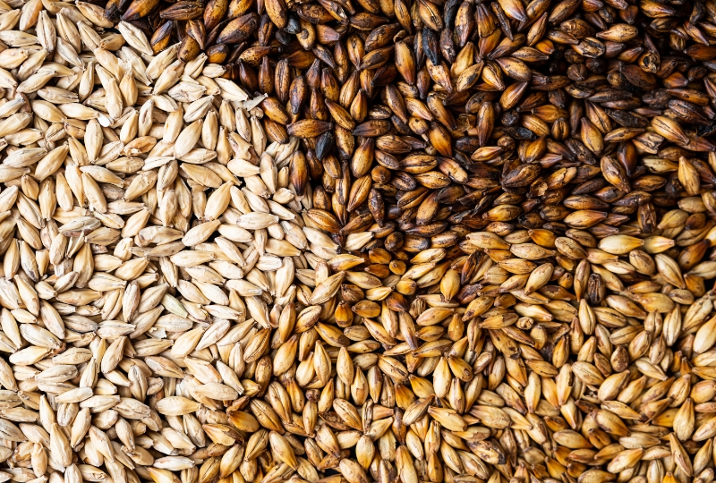 Gamme de malts - Malteries Soufflet